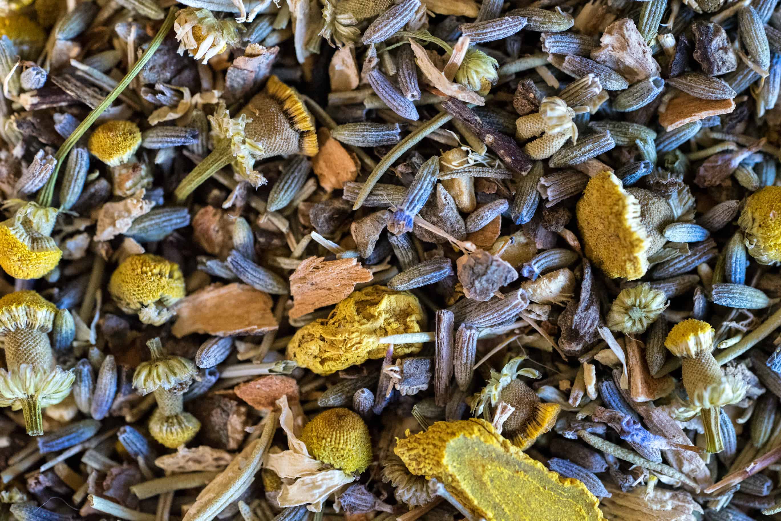 Muscle Rest – The Ever Good